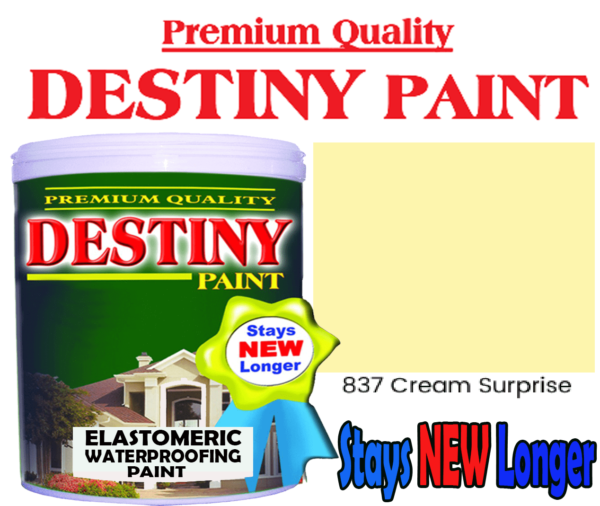 Destiny Paint Price & Voucher Feb 2024|BigGo Philippines