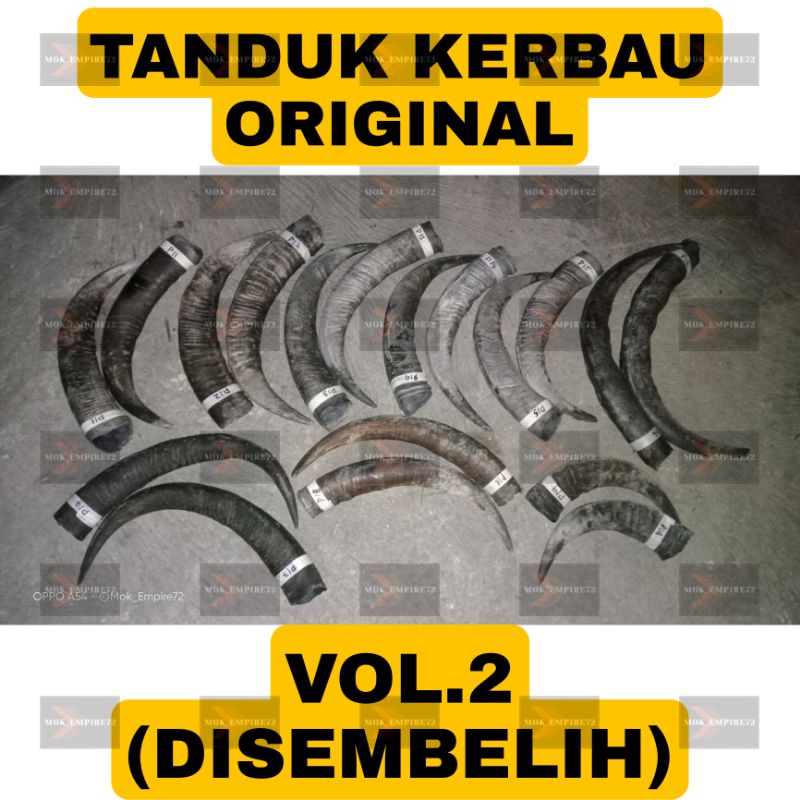 Trumpet Price & Promotion-Feb 2024|BigGo Malaysia