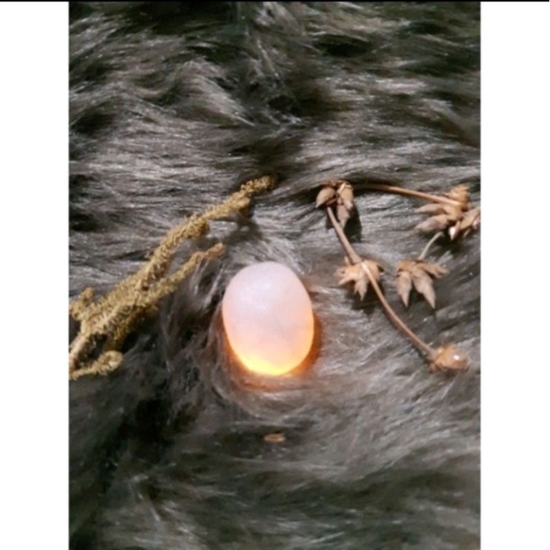 Trabungko Price & Voucher May 2024|BigGo Philippines