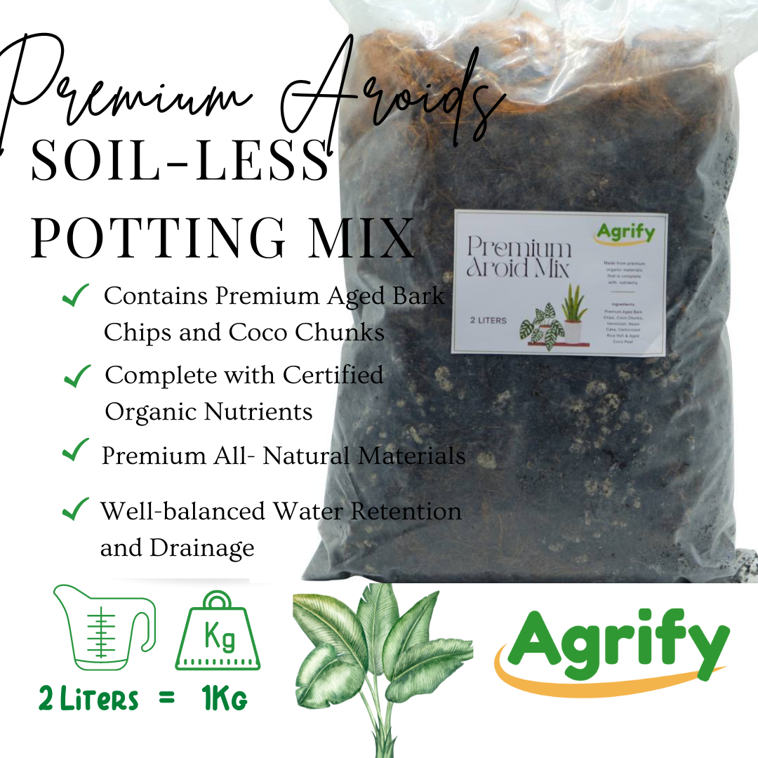 Agrify Price & Voucher Jun 2024|BigGo Philippines