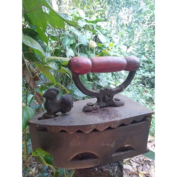 Starika Price & Promotion-Oct 2023|BigGo Malaysia