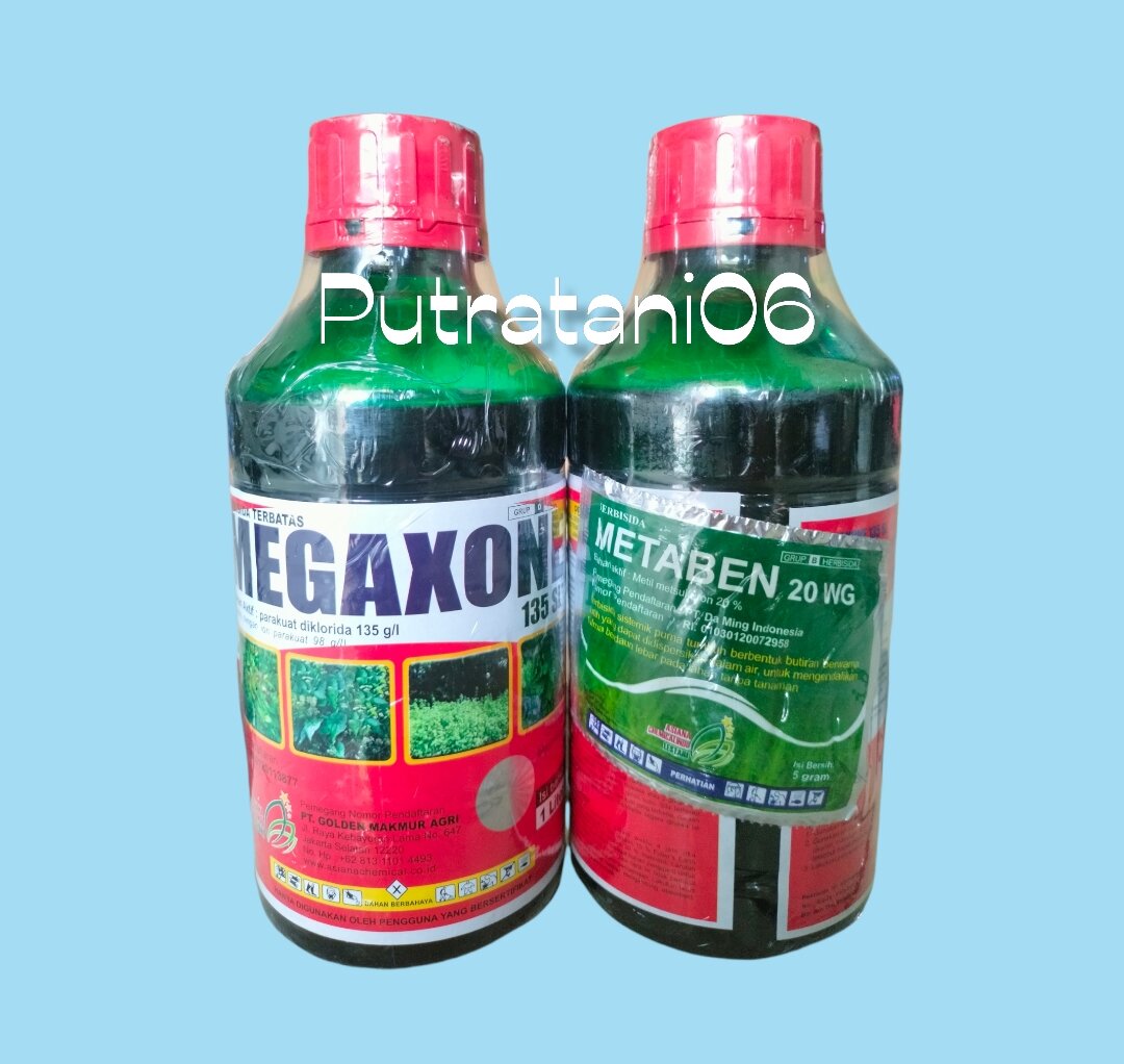 Harga Megaxone Terbaru Juni 2024 |BigGo Indonesia