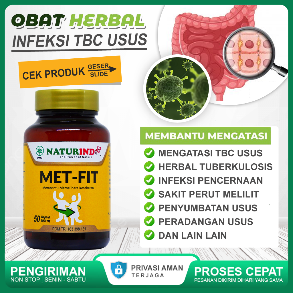 Harga Abdomen Terbaru Juni 2024 |BigGo Indonesia