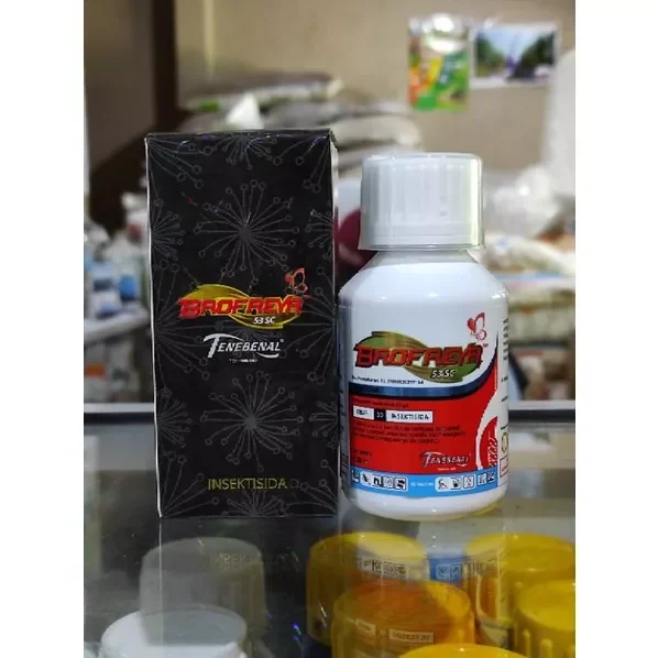 Harga Brofreya Terbaru Maret 2024 |BigGo Indonesia