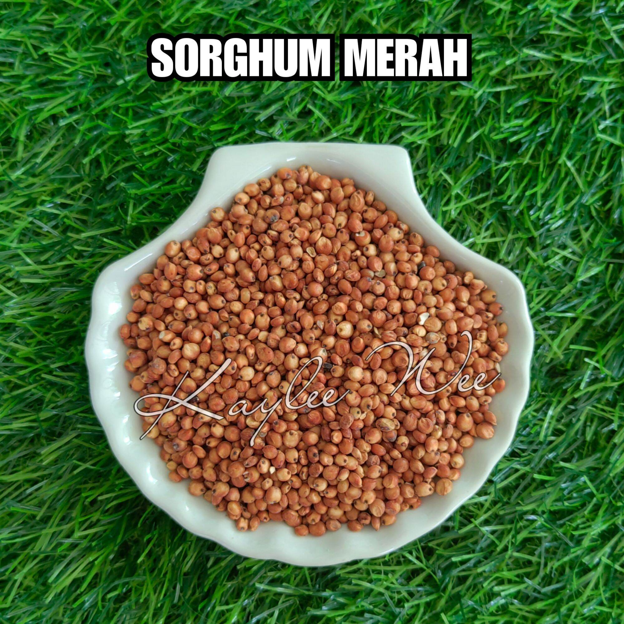 Sorghum Price & Promotion-Aug 2024|BigGo Malaysia