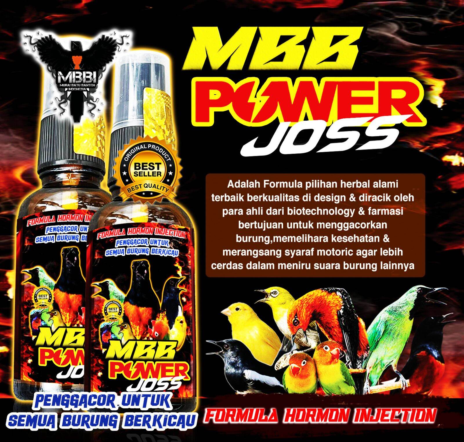 Harga Mbb Terbaru Agustus 2024 |BigGo Indonesia