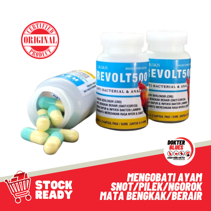 Harga REVOLT500 Terbaru Mei 2023 |BigGo Indonesia