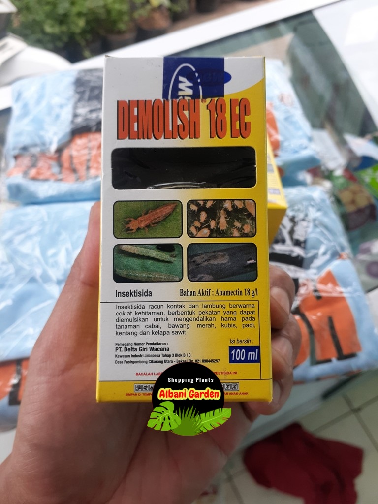 Harga Demolis Terbaru Desember 2023 |BigGo Indonesia