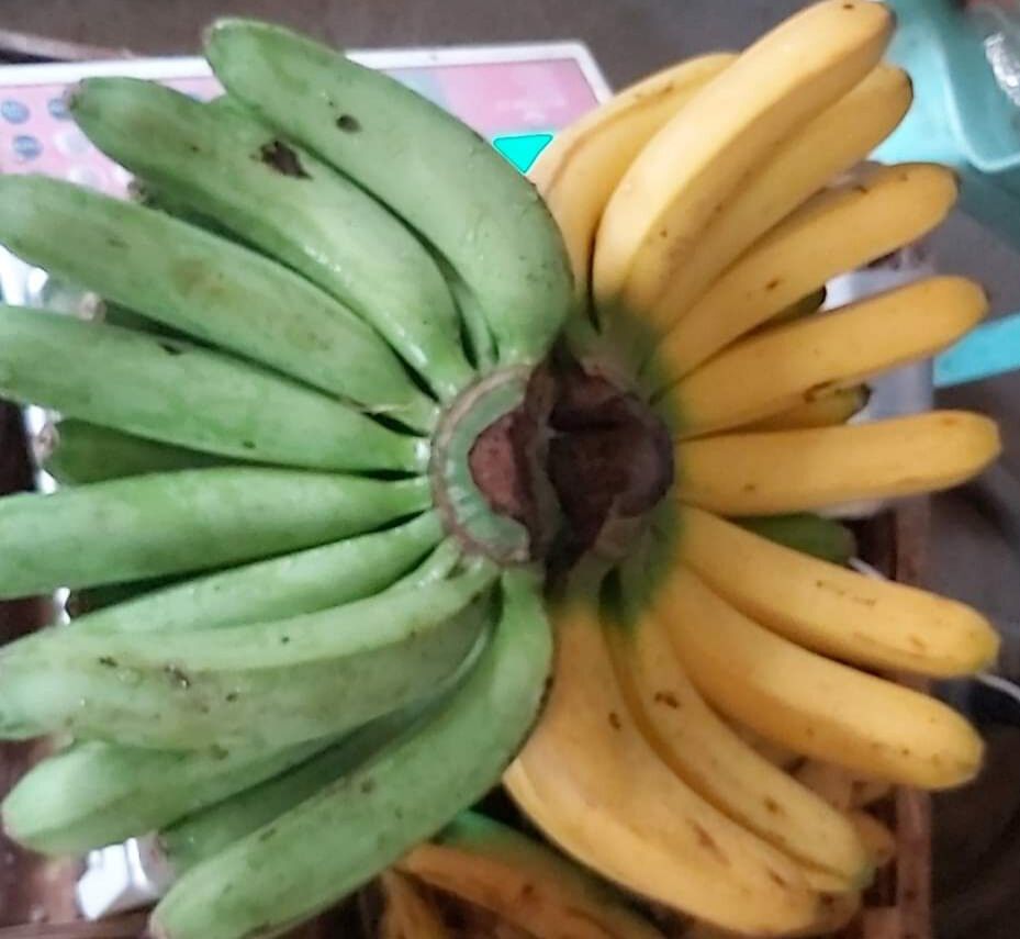 Lakatan Price & Voucher Jul 2024|BigGo Philippines