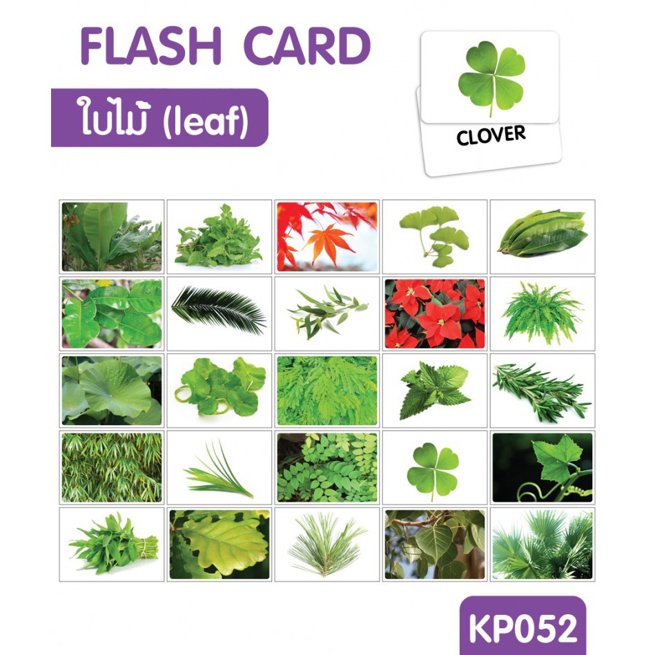 Kp052 ถูกที่สุด พร้อมโปรโมชั่น พ.ค. 2024|BigGoเช็คราคาง่ายๆ