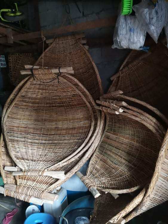 Yantok Price & Voucher Mar 2024|BigGo Philippines