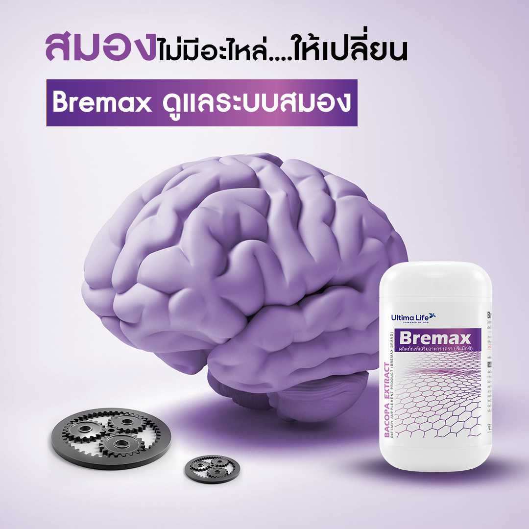 Bremax ถูกที่สุด พร้อมโปรโมชั่น ก.พ. 2023|BigGoเช็คราคาง่ายๆ