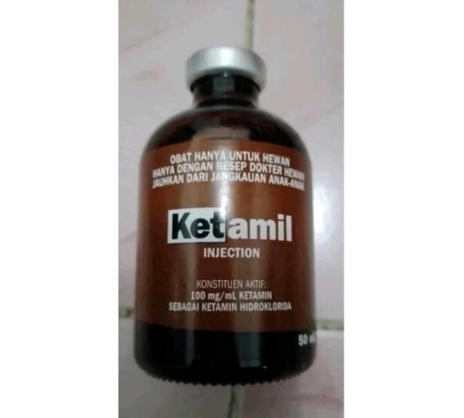 Harga Tamil Terbaru Desember 2023 |BigGo Indonesia