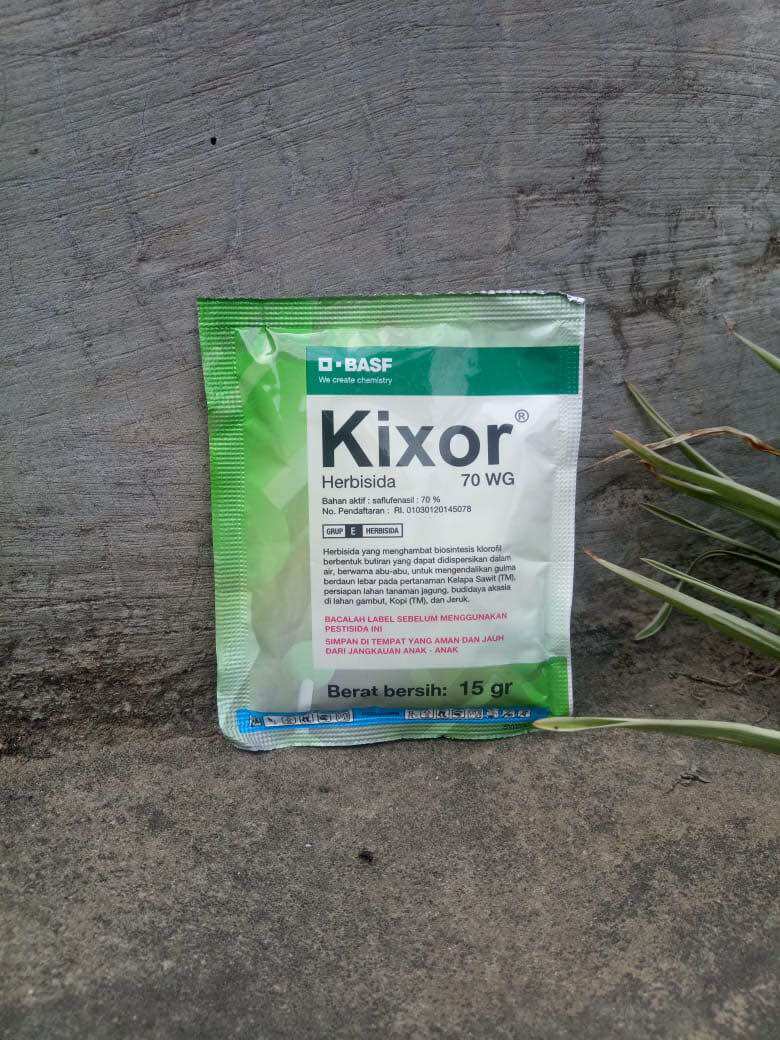 Harga Kixor Terbaru Agustus 2023 |BigGo Indonesia