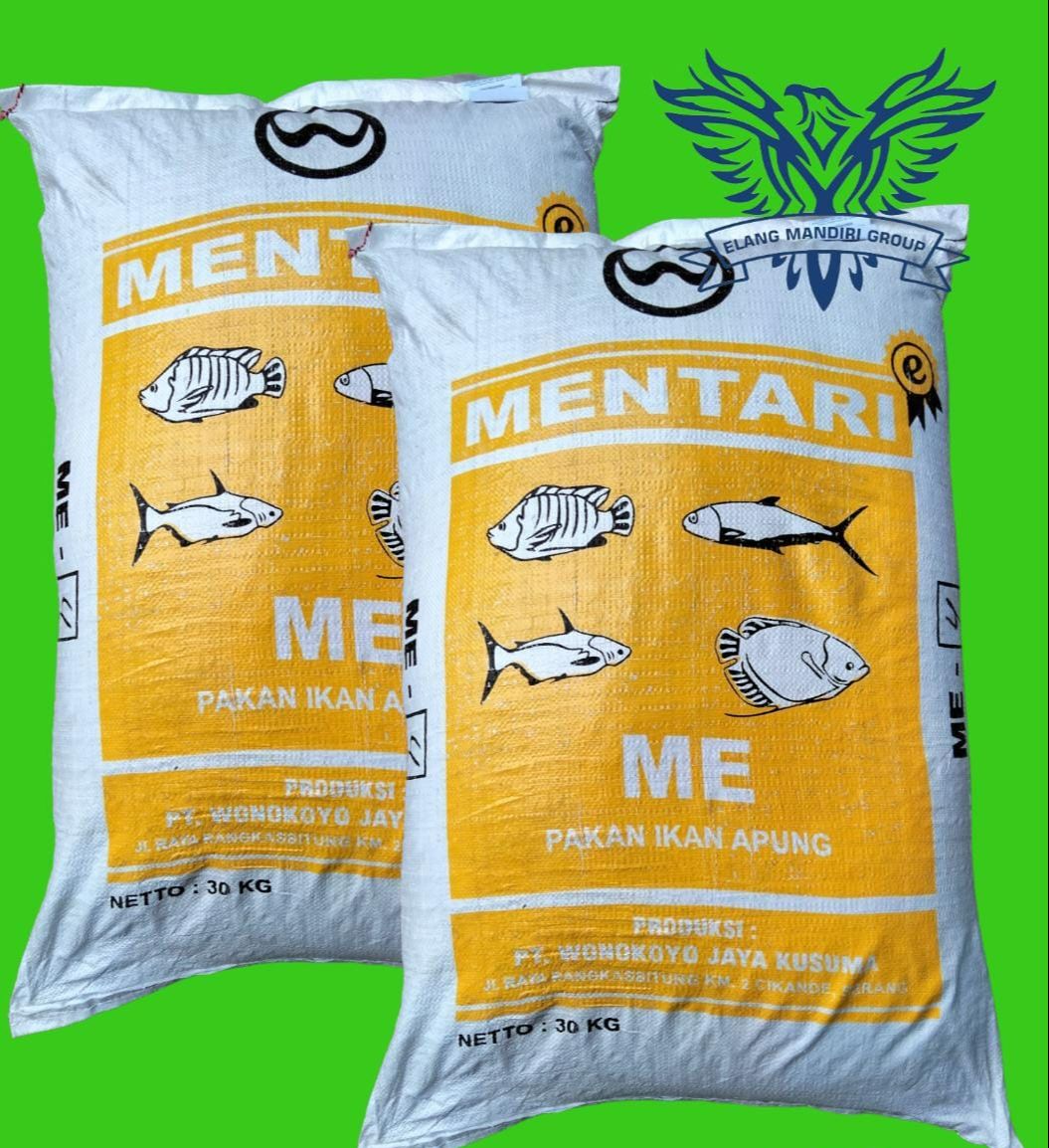 Harga Lele Terbaru Desember 2023 |BigGo Indonesia