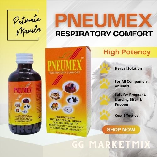 Pneumex Price & Voucher Jun 2024|BigGo Philippines