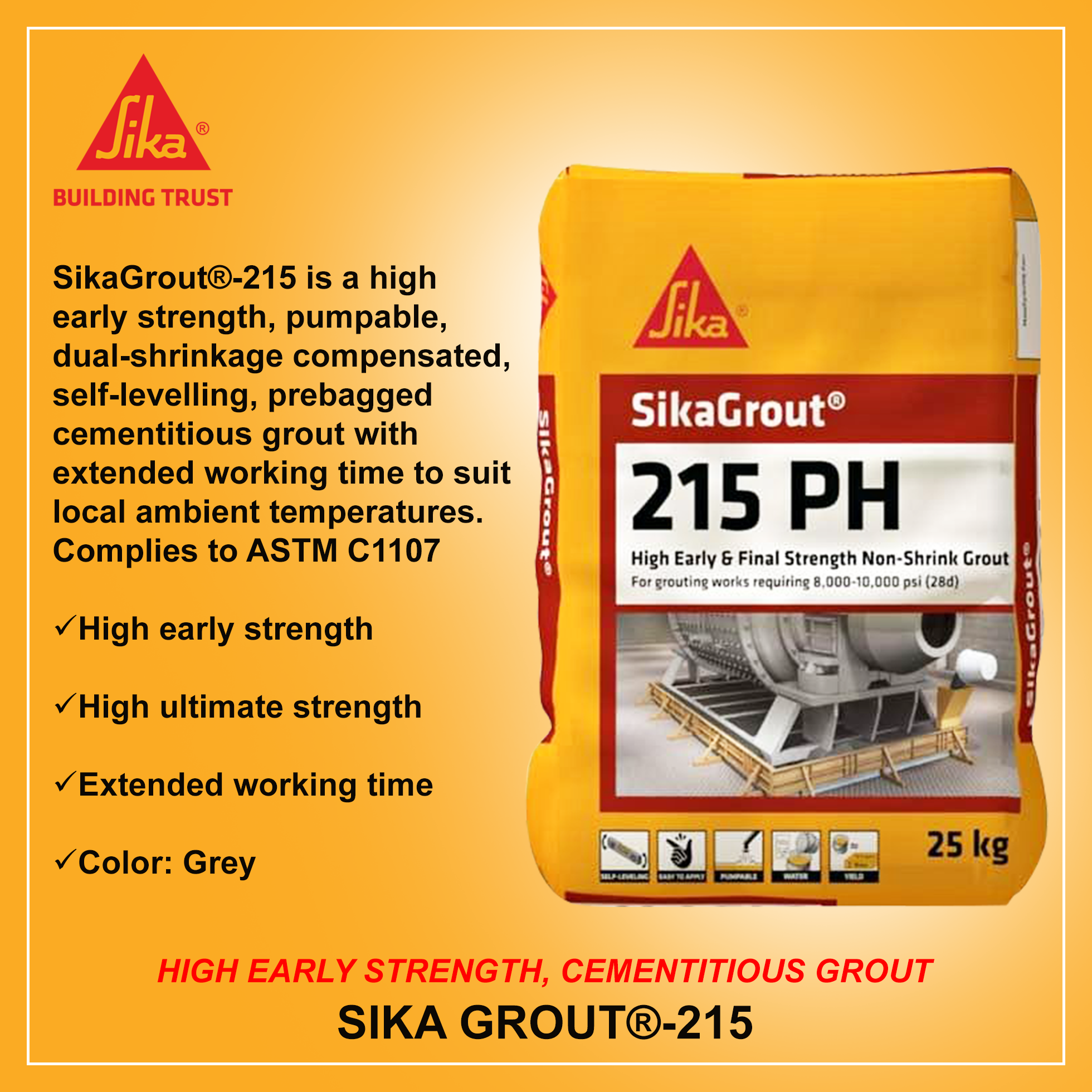 Sikagrout Price & Voucher May 2024|BigGo Philippines