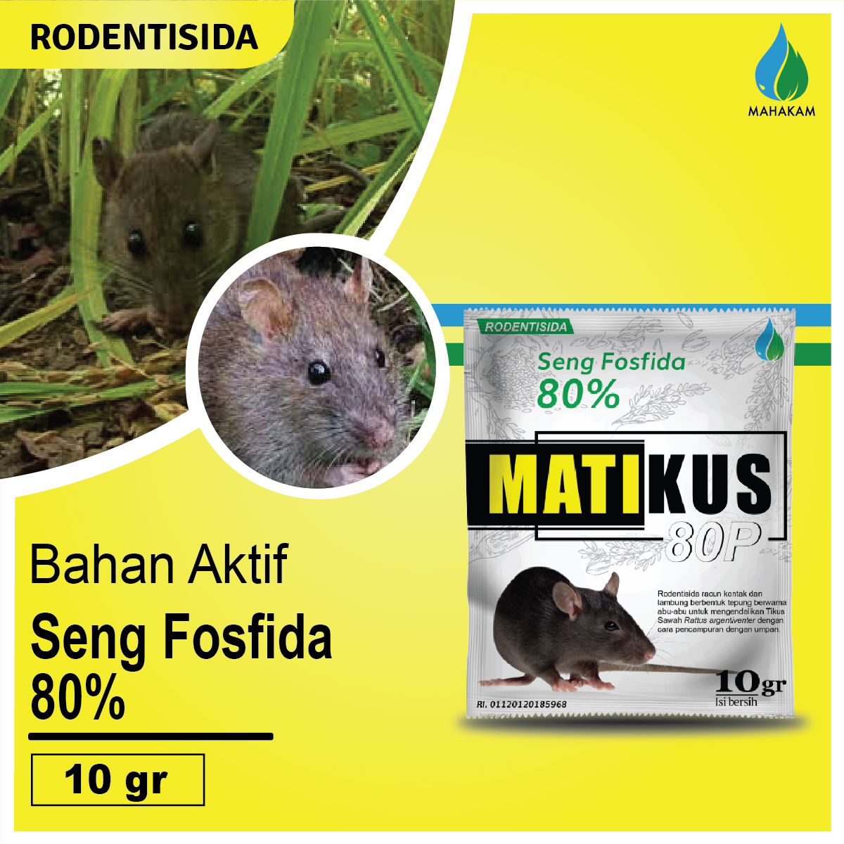 Harga Rodentisida Terbaru Januari 2024 |BigGo Indonesia