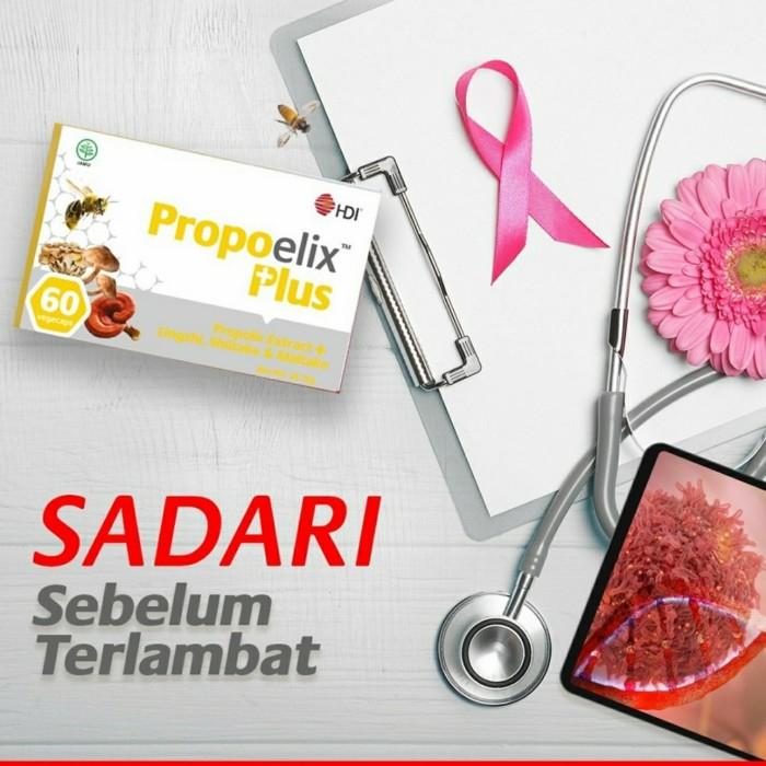 Harga Propelix Terbaru Desember 2023 |BigGo Indonesia