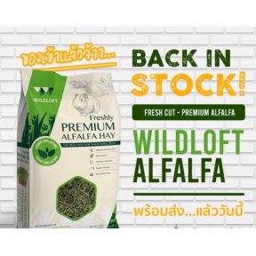 Wildloft ถูกที่สุด พร้อมโปรโมชั่น ส.ค. 2023|BigGoเช็คราคาง่ายๆ