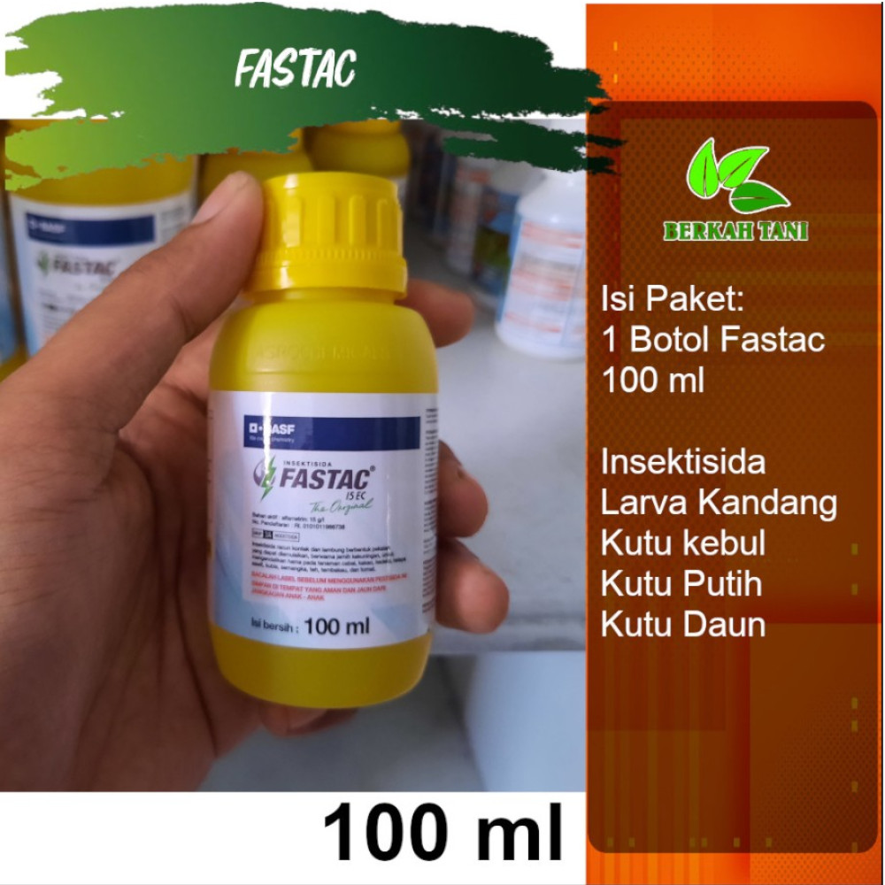 Harga Fastac Terbaru April 2024 |BigGo Indonesia