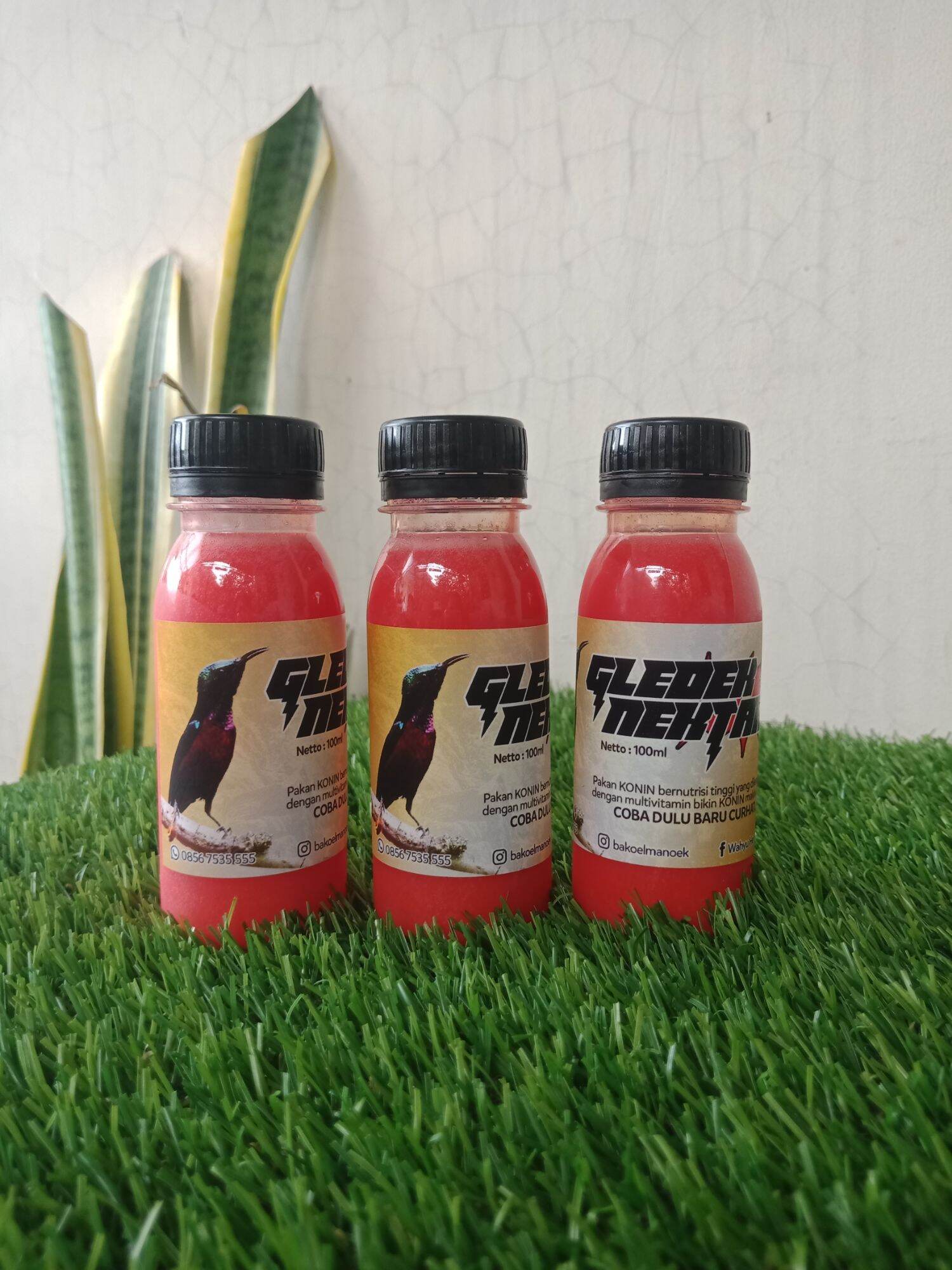 Harga Gledek Terbaru Desember 2023 |BigGo Indonesia