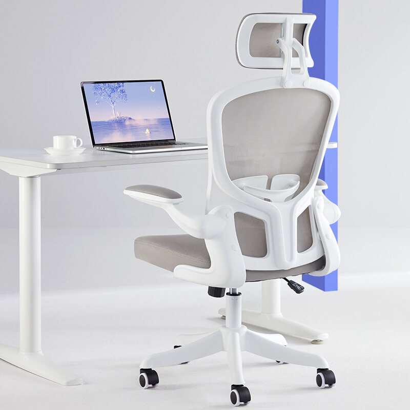 人体工学椅 Best Price in Dec 2023|BigGo Singapore