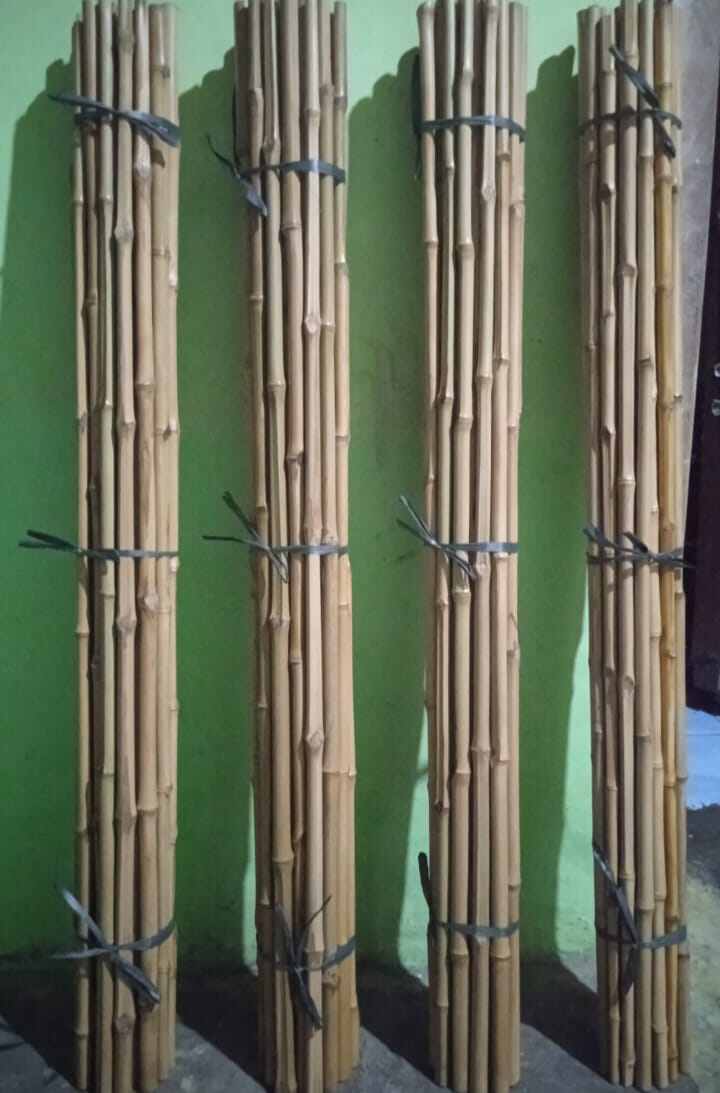 Harga Bambu Panjang 1 Meter Terbaru Agustus 2023 |BigGo Indonesia