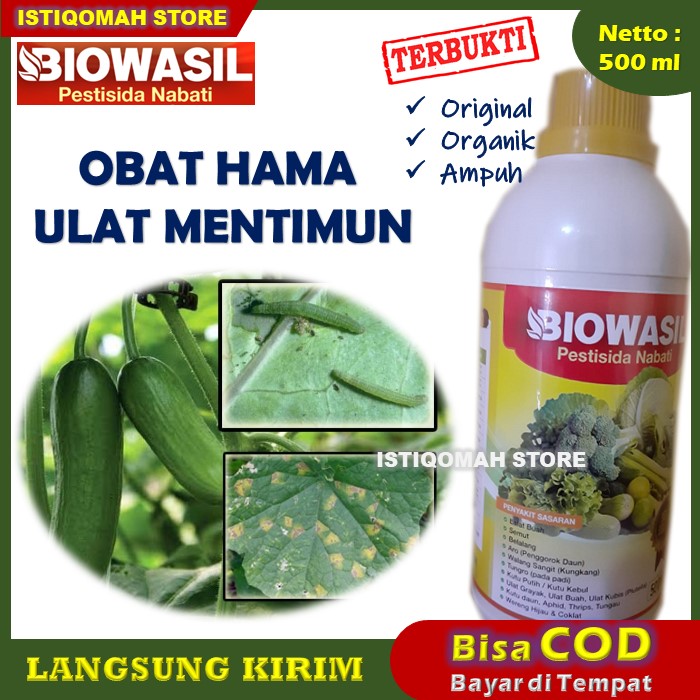 Harga Bonteng Terbaru Februari 2024 |BigGo Indonesia