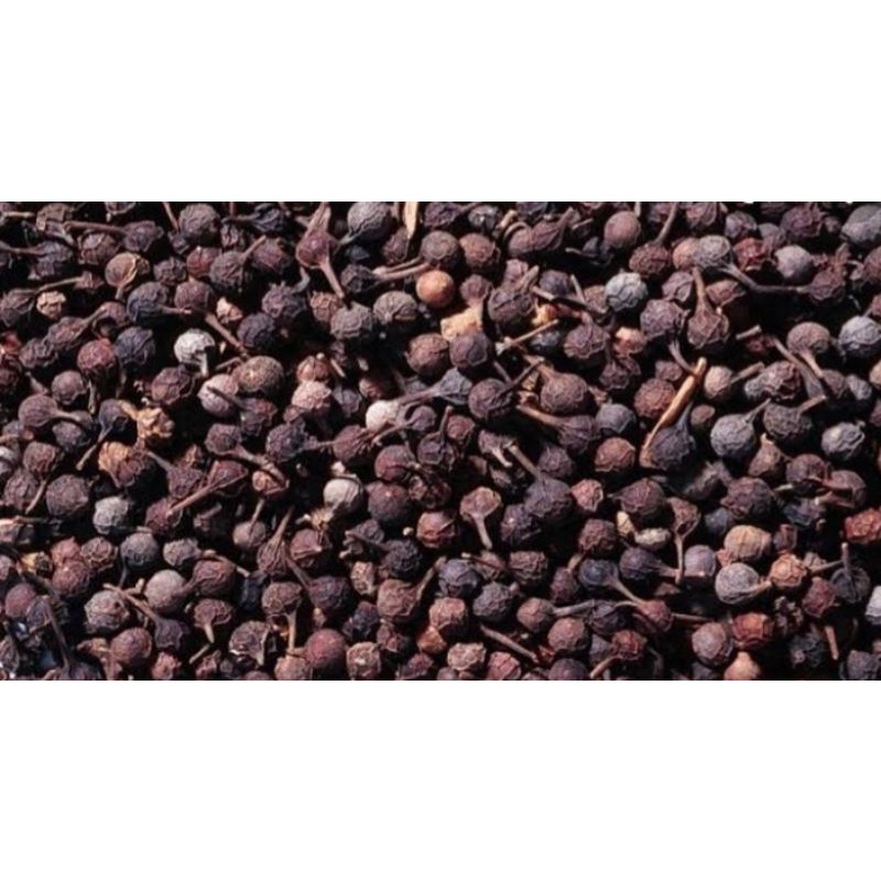 Harga Kemukus Terbaru September 2023 |BigGo Indonesia