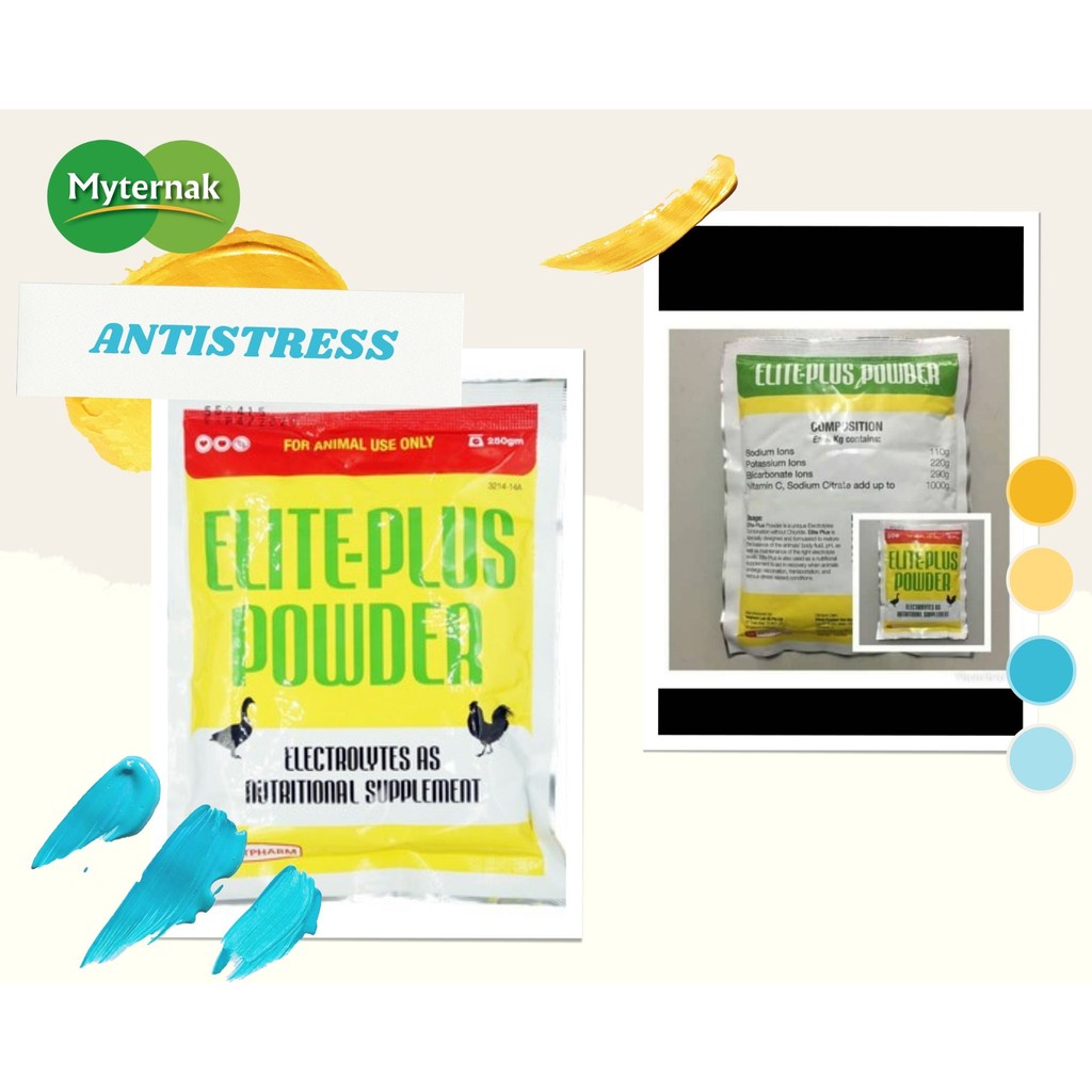 Myternak Price & Promotion-Feb 2024|BigGo Malaysia