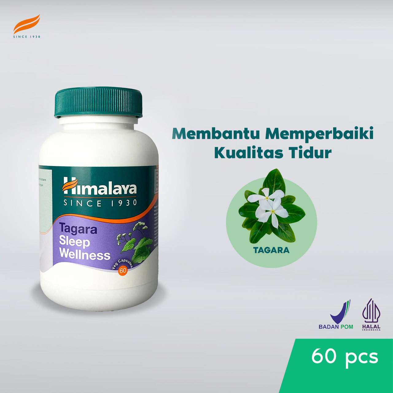 Harga Tagara Terbaru November 2023 |BigGo Indonesia