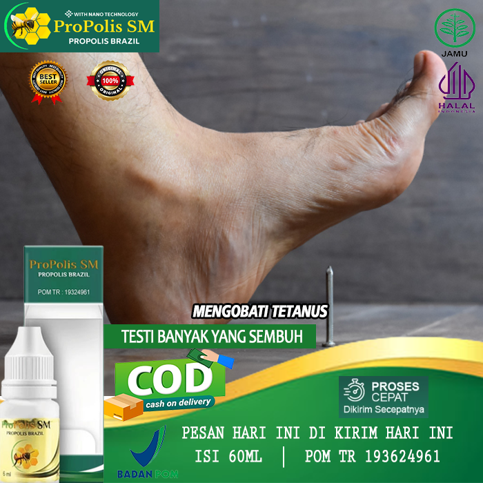 Harga Tetanus Terbaru Oktober 2023 |BigGo Indonesia