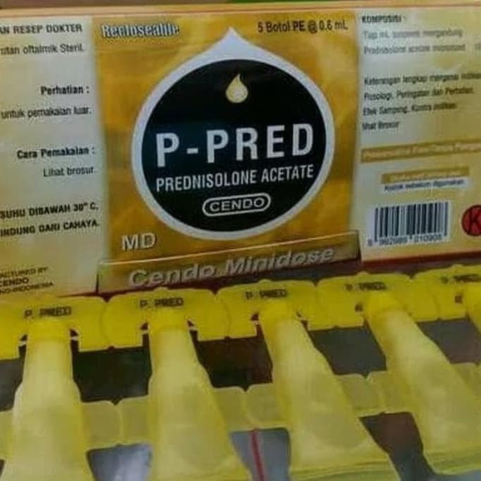 Harga Cendo Terbaru Desember 2023 |BigGo Indonesia