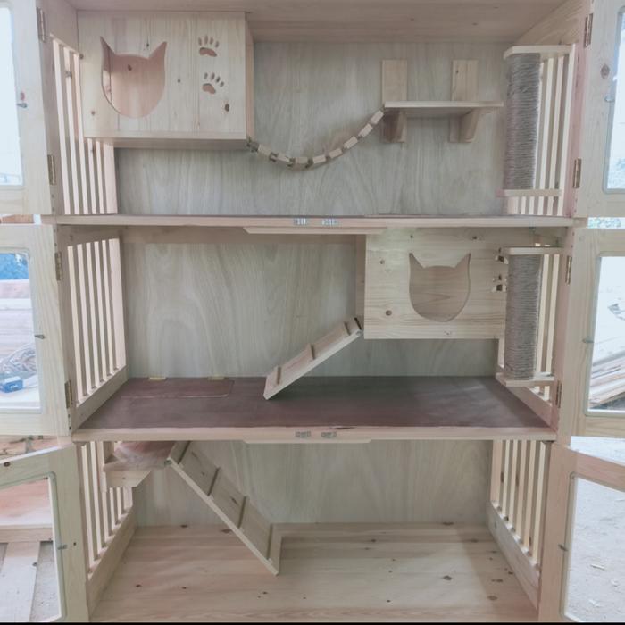 Harga Cathouse Terbaru Desember 2023 |BigGo Indonesia