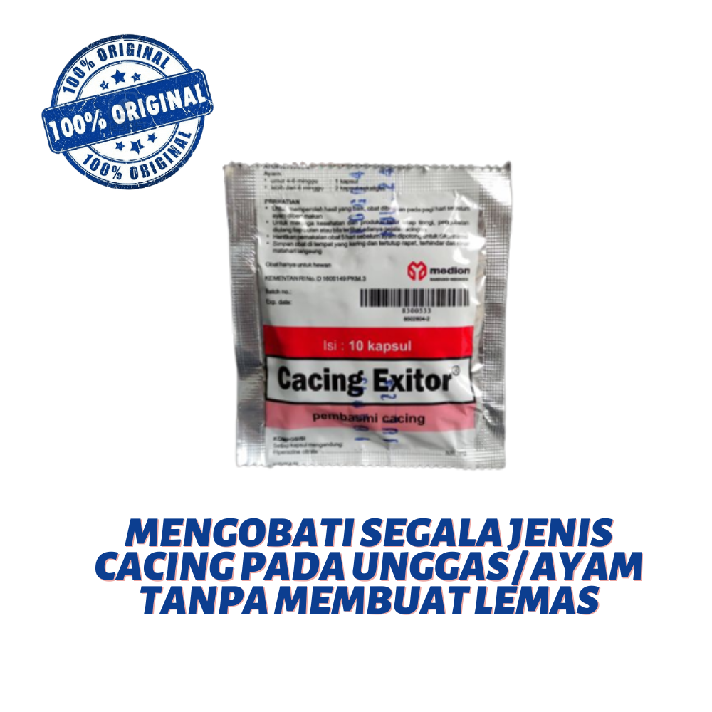 Harga Exitor Terbaru Oktober 2023 |BigGo Indonesia