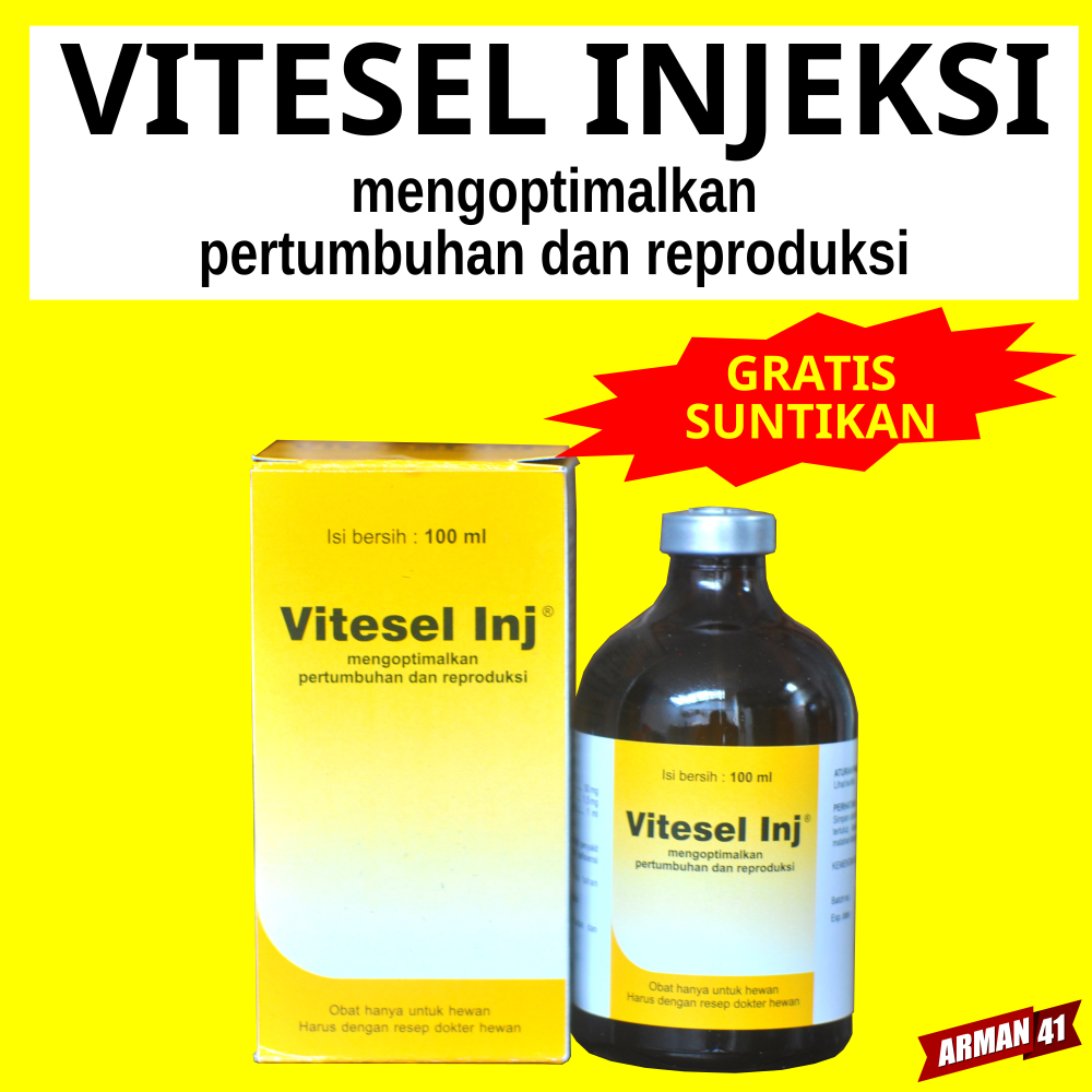 Harga Vitesel Terbaru Desember 2023 |BigGo Indonesia