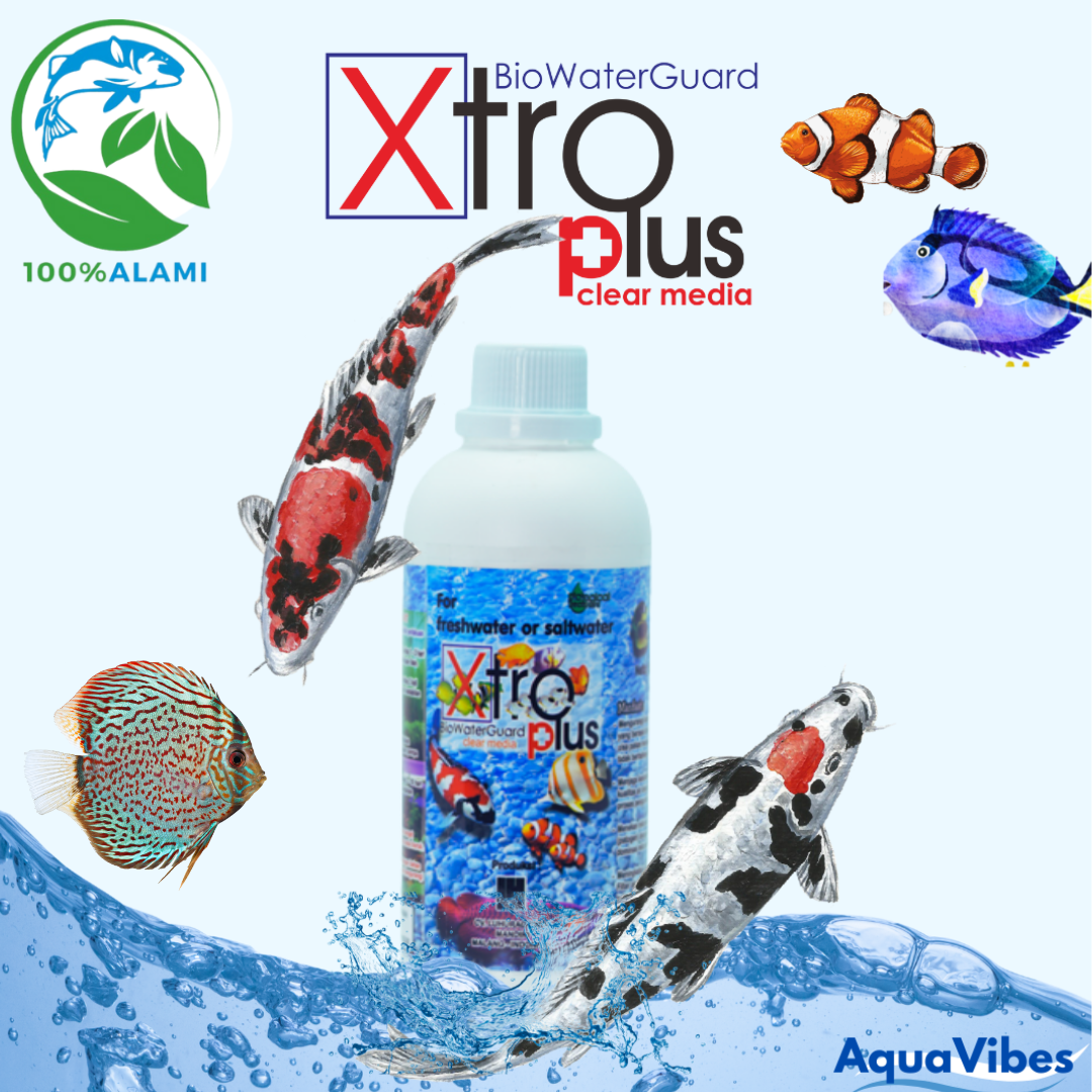 Harga Xtroplus Terbaru Desember 2023 |BigGo Indonesia