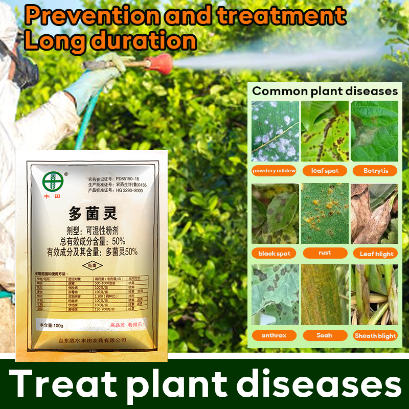 Insecticide Price & Voucher Aug 2024|BigGo Philippines