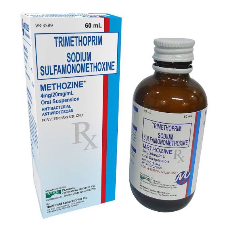 Methozine Price & Voucher Apr 2023|BigGo Philippines