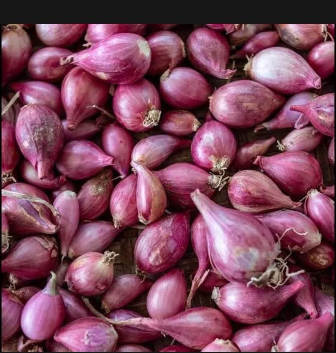 Sibuyas Tagalog Price & Voucher Jul 2023|BigGo Philippines