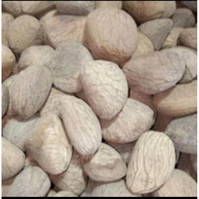 Harga Kluek Terbaru September 2023 |BigGo Indonesia