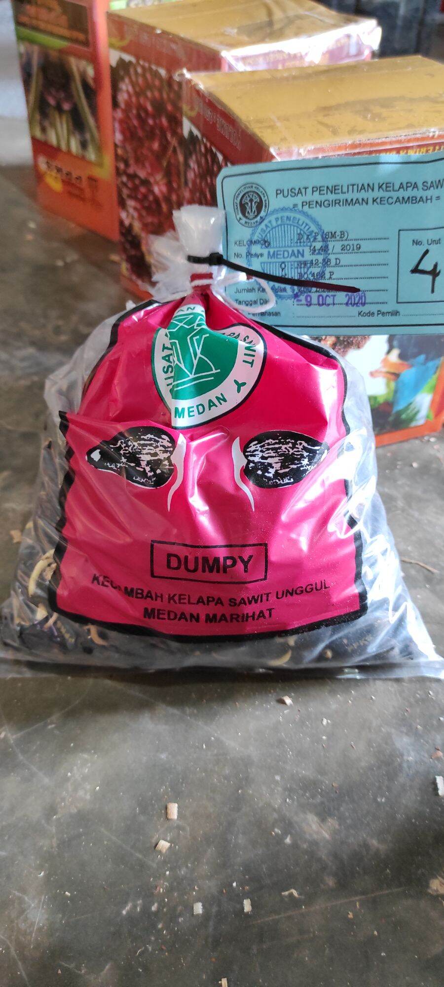 Harga Marihat Terbaru Juni 2024 |BigGo Indonesia