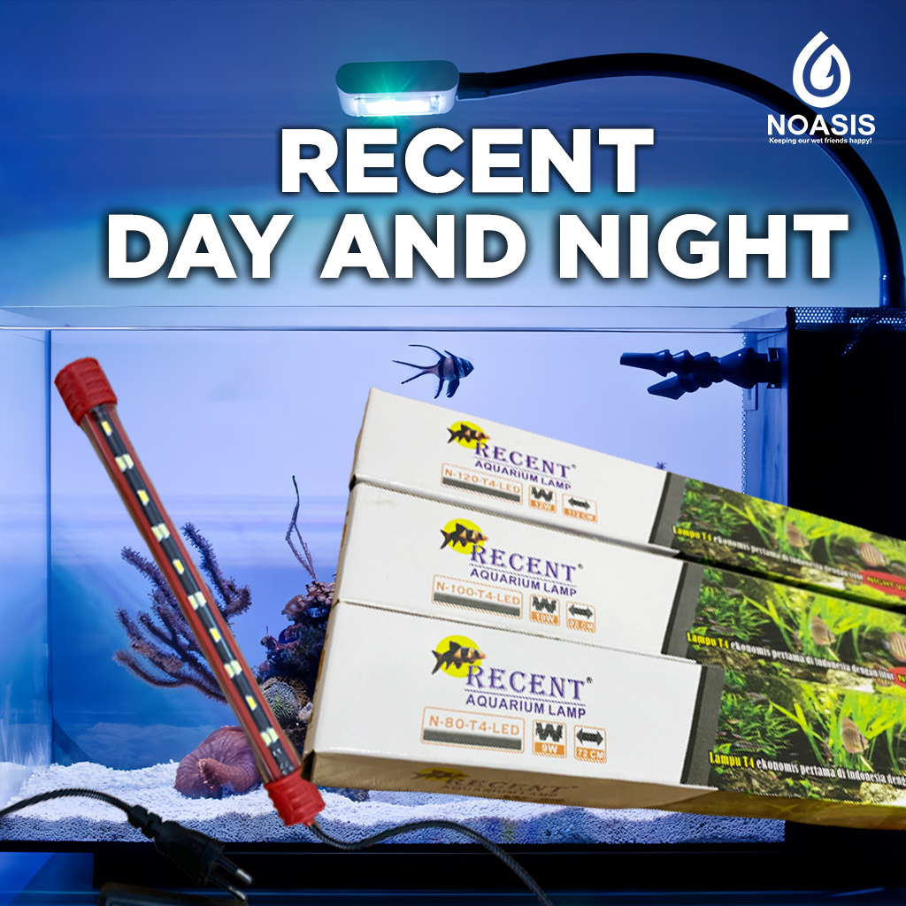 Harga B120n Terbaru Juni 2024 |BigGo Indonesia