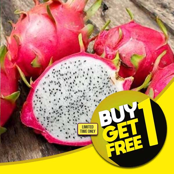 Dragon Price & Voucher Jun 2024|BigGo Philippines