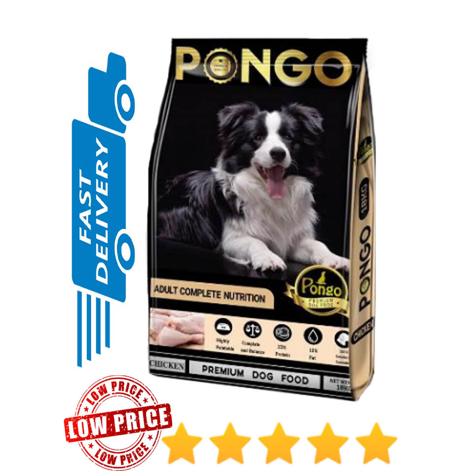 Pongo Dog Price & Promotion-Jun 2024|BigGo Malaysia