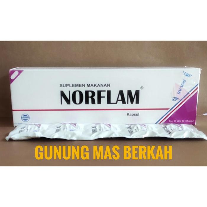 Harga Norflam Terbaru Agustus 2024 |BigGo Indonesia