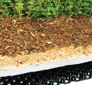 Harga Versicell Terbaru Januari 2024 |BigGo Indonesia