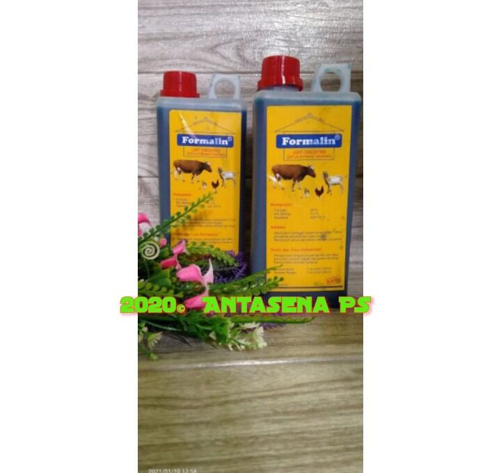 Harga Formalin Terbaru Maret 2024 |BigGo Indonesia