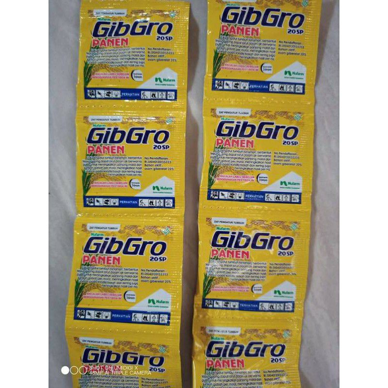 Harga Gibgrow Terbaru Juni 2023 |BigGo Indonesia